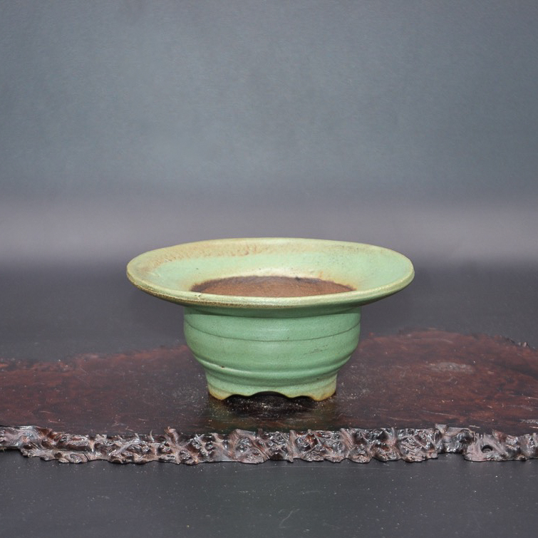 Handmade Shohin Round Bonsai Pots 00517 - TIBERIO GRACCO
